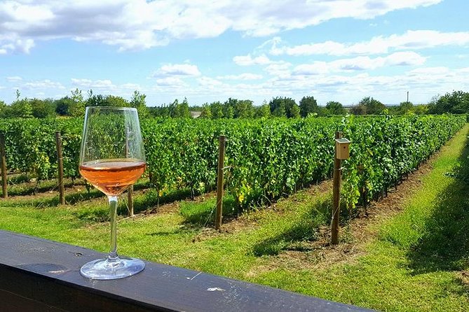 Prahova Valley Wine Tour from Bucharest Small Group - Who Will Love This Tour?