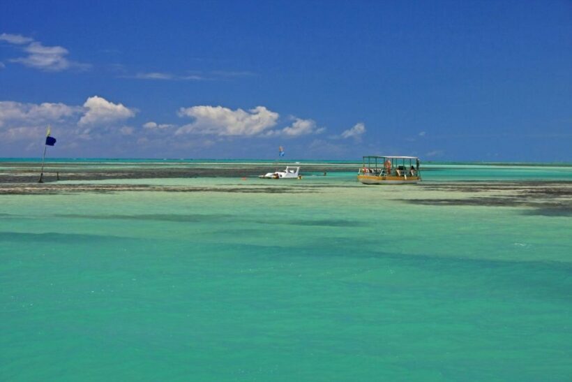 Praia de Paripueira Beach Day Tour - Key Points