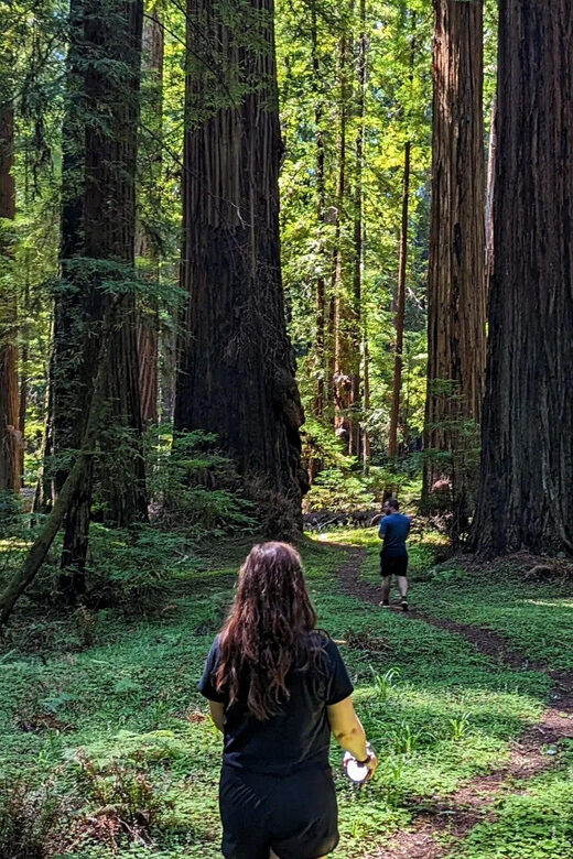 Prairie Creek State Park: Redwood Forest Hiking Tour - The Itinerary: What You Can Expect
