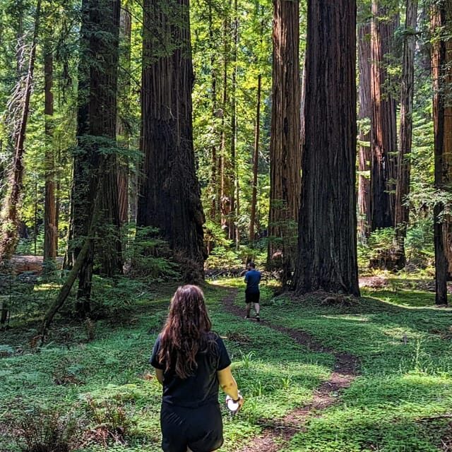 Prairie Creek State Park: Redwood Forest Hiking Tour - Who Will Enjoy This Tour?
