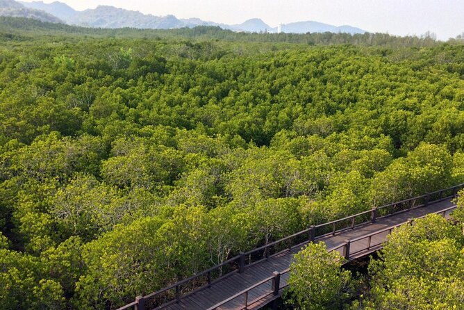Pranburi Forest Park and Khao Daeng Join Tour from Hua Hin - Why This Tour Is a Great Choice
