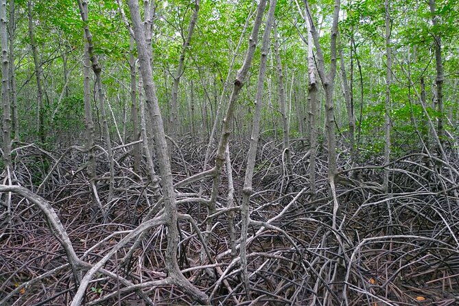 Pranburi Forest Park and Khao Daeng Join Tour from Hua Hin - Final Thoughts: Is It Worth It?