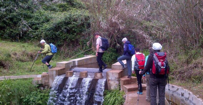 Prazeres: Full-Day Nature Walk - Key Points
