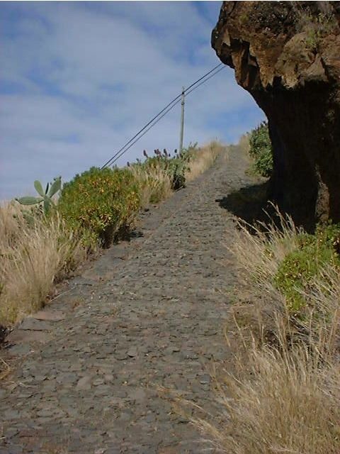 Prazeres: Full-Day Nature Walk - Introduction to the Prazeres Nature Walk