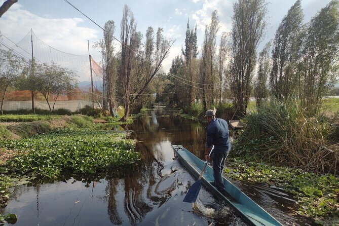 Pre-Hispanic Xochimilco and ajolotario. Private Ecotour. - Key Points