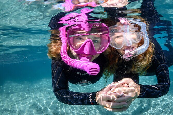 Pre-Season Special Manatee Snorkel Tour in Crystal River - An In-Depth Look at the Tour
