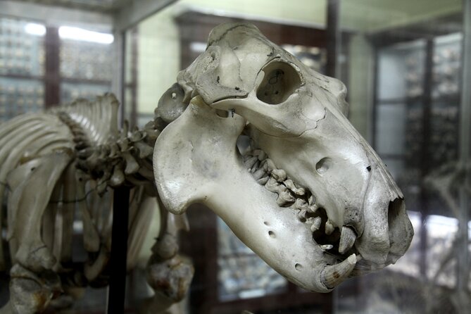 Prehistoric Temples and Highlights of the South Full-Day Tour - Cancellation Policy and Additional Information