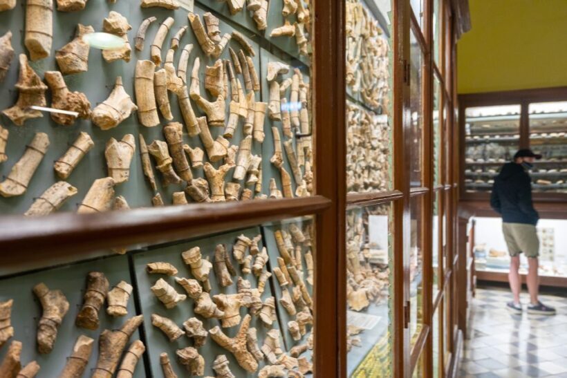 Prehistoric Temples of Malta Tour - The Transportation and Logistics