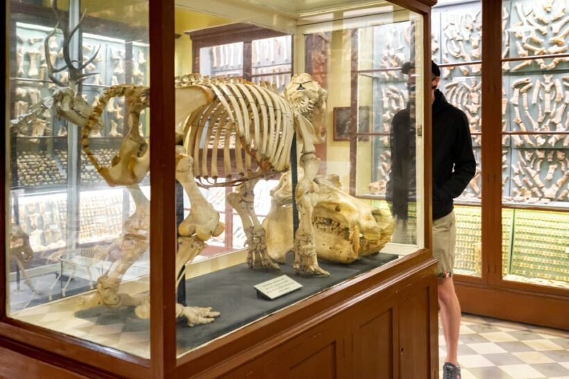 Prehistoric Temples of Malta Tour - Value for Money