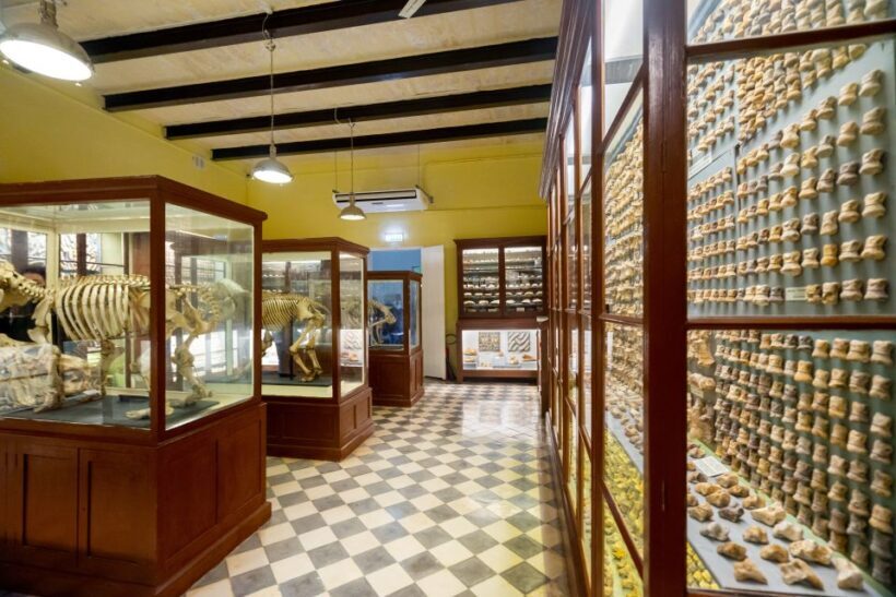 Prehistoric Temples of Malta Tour - The Sum Up