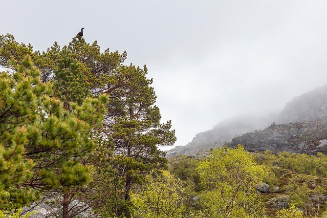 Preikestolen Hidden Trail Hike + Lunch and Canoe Trip - Booking Information and Policies