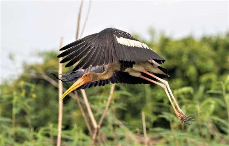 Prek Toal Birds Sanctuary & floating Village Private Tour - The Cost and Its Value