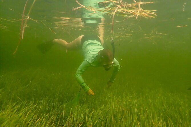 Premier Scalloping Adventure on Florida's Nature Coast - Who Should Book This Tour?