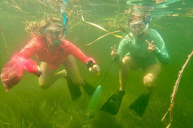 Premier Scalloping Adventure on Florida's Nature Coast - Final Thoughts