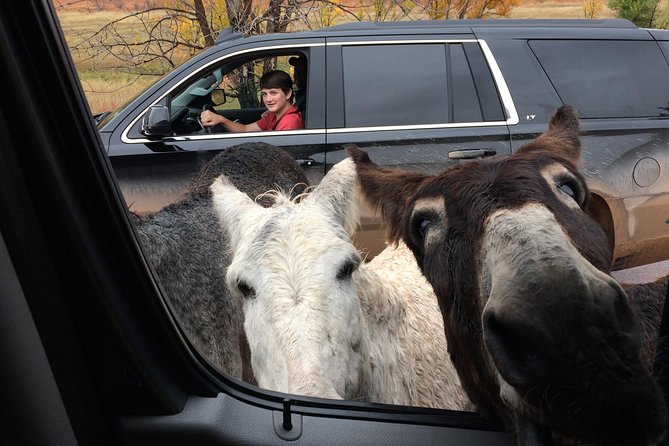 Premiere Private Black Hills Tour: Mt Rushmore, Crazy Horse & Custer State Park - Crazy Horse Memorial