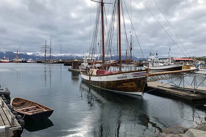 Premium 4x4 Diamond Circle Tour - Who Is This Tour Best Suited For?