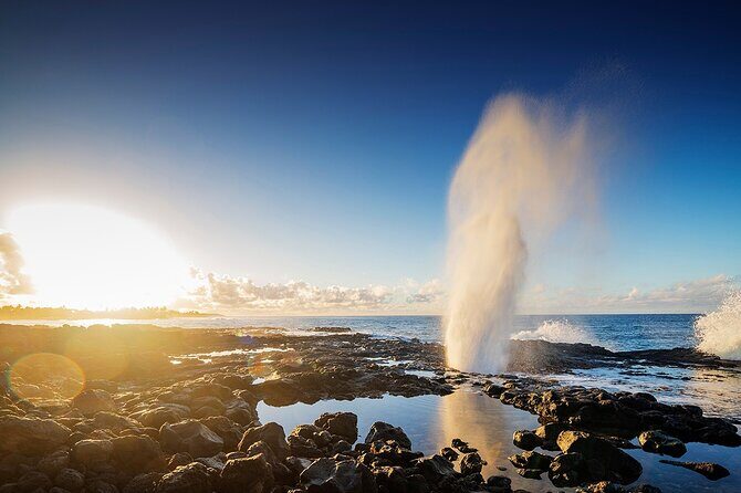 Premium Afternoon Scuba Charter for All Certified Diver Levels - What Makes This Kauai Scuba Tour Special?