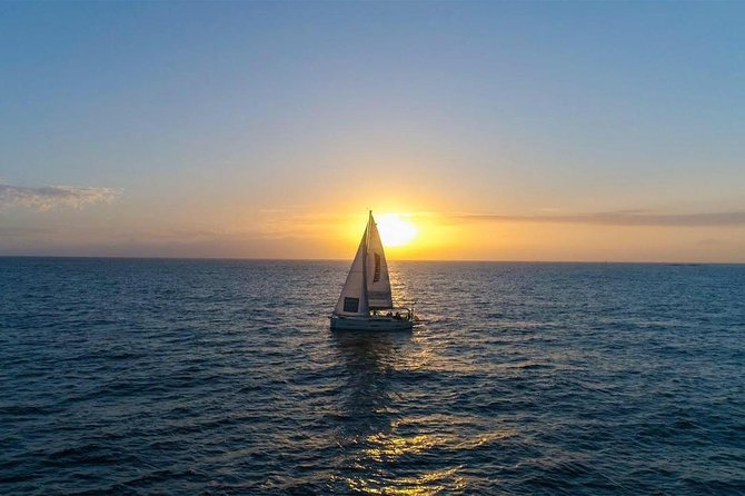 Premium All Inclusive Whale & Dolphin Watching Experience - Highlights of the Experience