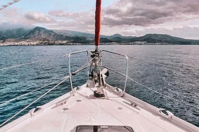 Premium All Inclusive Whale & Dolphin Watching Experience - Inclusions and Amenities