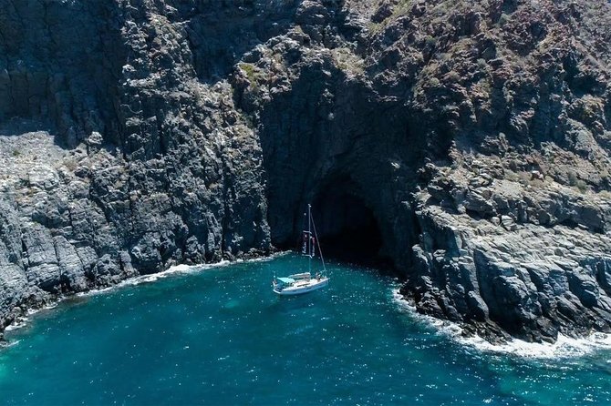 Premium All Inclusive Whale & Dolphin Watching Experience - Booking Information and Policies