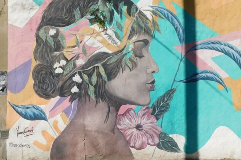 Premium Argentinian Wine and Malbec Tasting & Urban Art Tour - Key Points