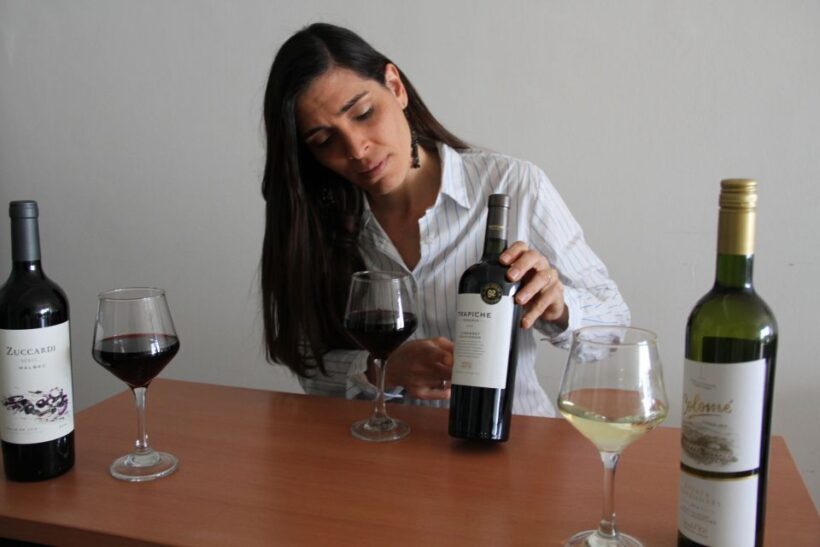 Premium Argentinian Wines and Malbec Tasting Experience - Practical Details and Planning Tips