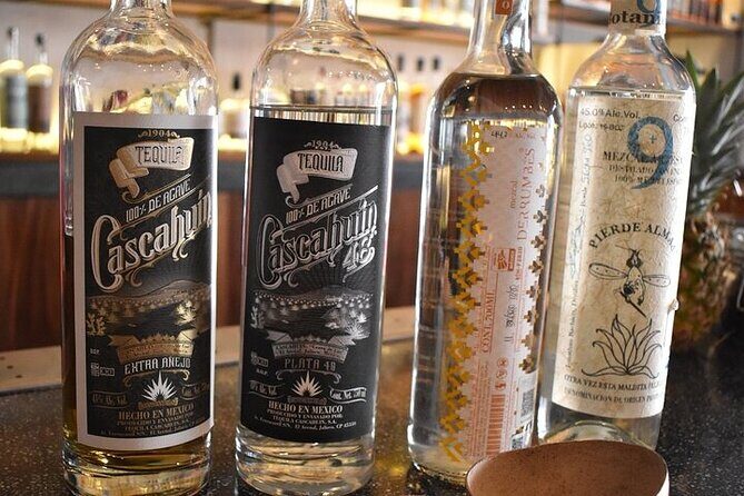 Premium Artisanal Tequila Tasting at El Tasting Room - Tips to Make the Most of Your Visit