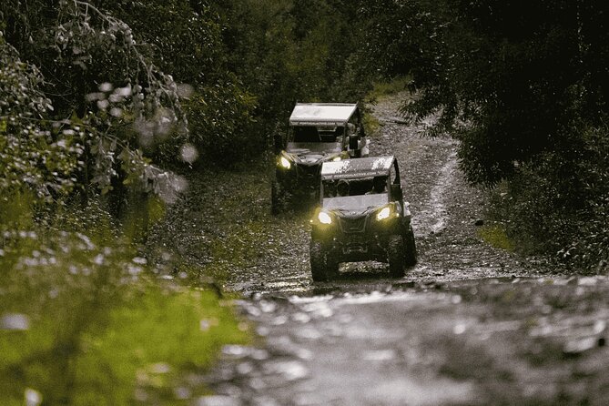Premium Buggy Experience in Ponte de Lima - Practical Details and Tips for Participants