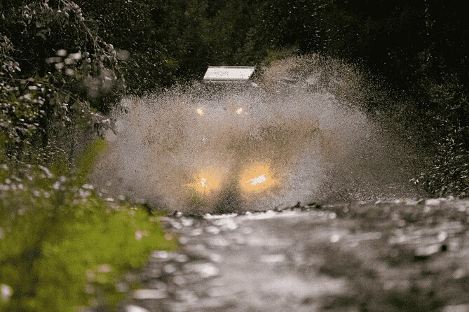 Premium Buggy Experience in Ponte de Lima - Who Is This Tour Best For?