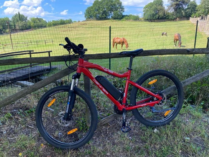 Premium Chianti E-Bike Tour, Food Wine Tasting + Photo shoot - Frequently Asked Questions