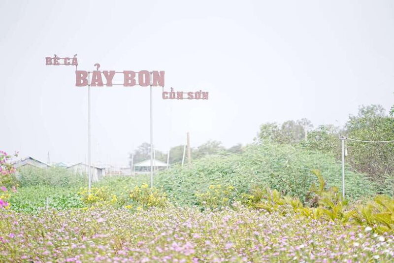 Premium Con Son Islet tour  Explore The Precious Gem - Exploring Cultural Landmarks and Performances