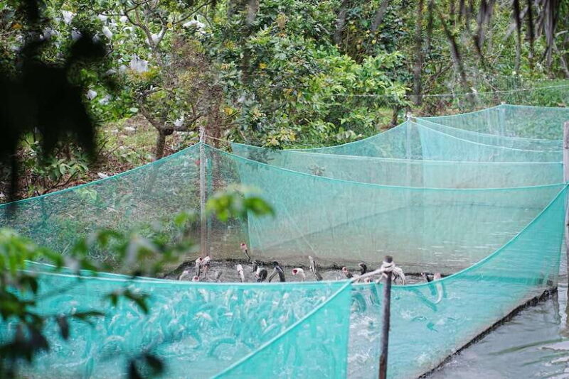 Premium Con Son Islet tour  Explore The Precious Gem - FAQ