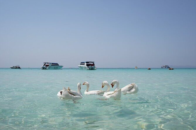 Premium Coral Island Pattaya by Speed boat - Why We Like This Tour