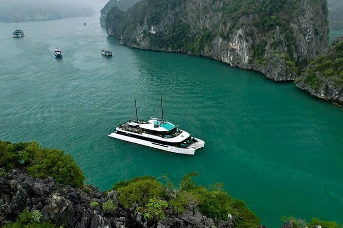 PREMIUM Day Cruise in Halong Bay: Buffet Lunch and Sunset Party - Who Will Love This Tour?