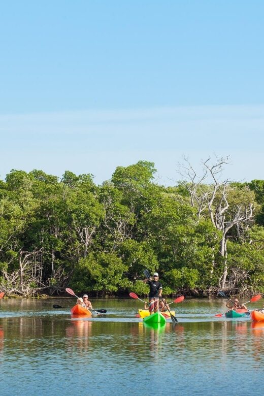 Premium Day Sail, Snorkel &, Kayak with Lunch - Additional Amenities