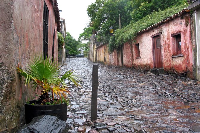 Premium Day Tour to Colonia Del Sacramento - Booking and Pricing