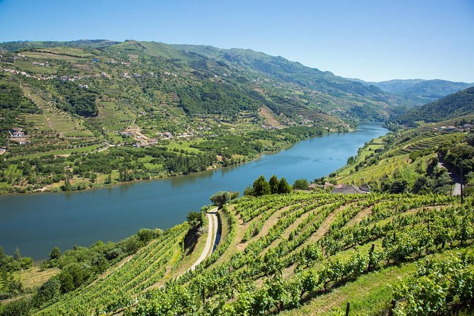 Premium Douro Valley Small-Group Tour, Wine Tasting, Lunch & Boat - Practical Considerations