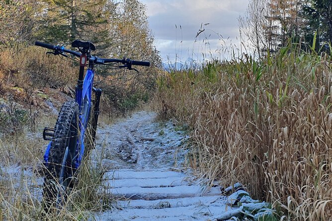 Premium Ebike Rental - Booking and Cancellation Policy