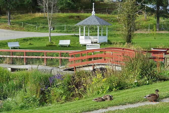 Premium Ebike Rental - Experience Highlights