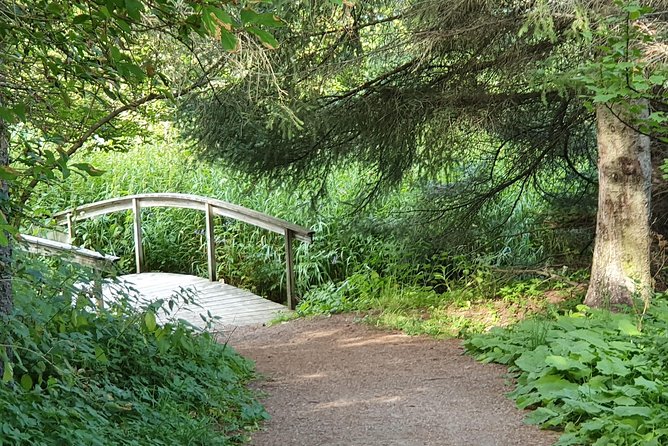 Premium Ebike Rental - Choosing the Right Ebike for Your Adventure