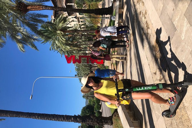 Premium Electric Scooter Rental With Optional Delivery - Overview and Features