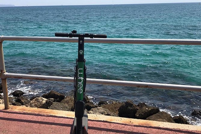 Premium Electric Scooter Rental With Optional Delivery - Booking Information