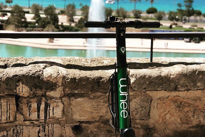 Premium Electric Scooter Rental With Optional Delivery - Why Choose Premium Electric Scooter Rental?