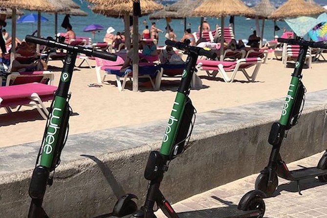 Premium Electric Scooter Rental With Optional Delivery - Customer Testimonials