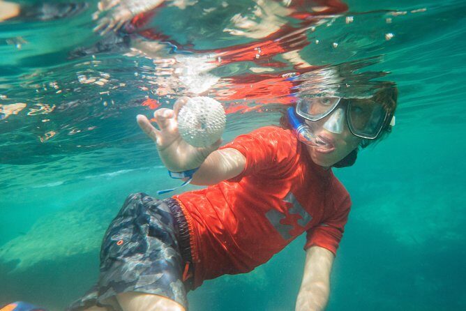 Premium Family Snorkeling Experience - Who Will Love This Tour?