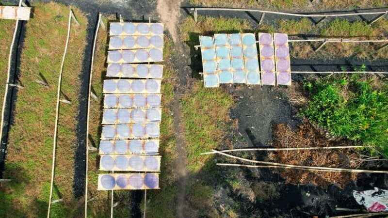 Premium Floating Market & Con Son Islet Tour - Exploring the Best of Vietnam’s Mekong Delta: The Premium Floating Market & Con Son Islet Tour