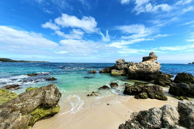 Premium Full Day Tour - An Invitation to Discover Margaret River’s Gourmet Charm