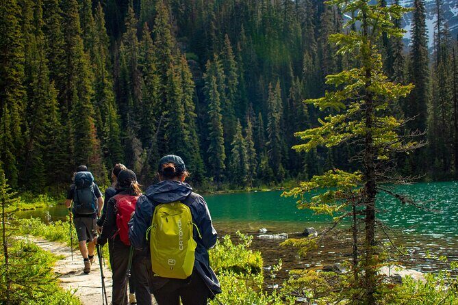 Premium Guided Hiking tours in Banff, Yoho & Kootenay - What to Expect: The Experience in Detail