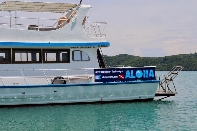 Premium Guided Scuba Diving Day Trip for Certified Divers - Analyzing the Value