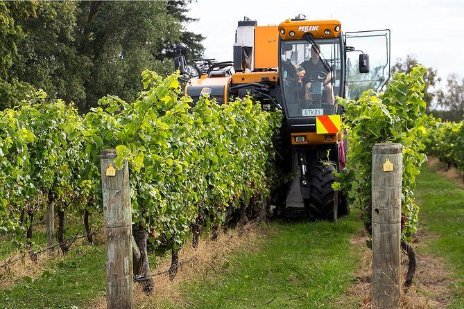 Premium-Hawke's Bay, Napier Winery Tour - 5.5 hours - Key Points